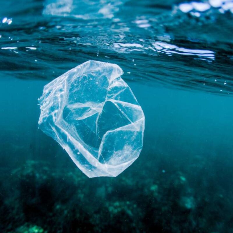 Plastic Waste – Interwaste Holdings Ltd